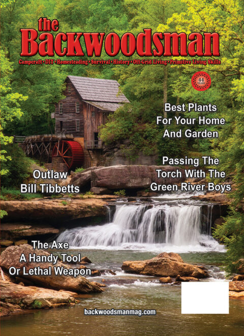 Backwoodsman Magazine