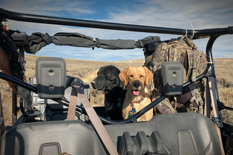 Backwoodsman Magazine