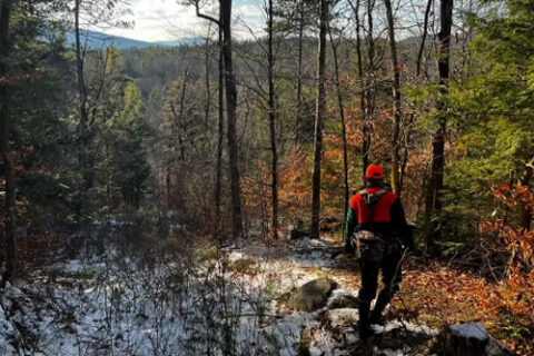 Backwoodsman Magazine